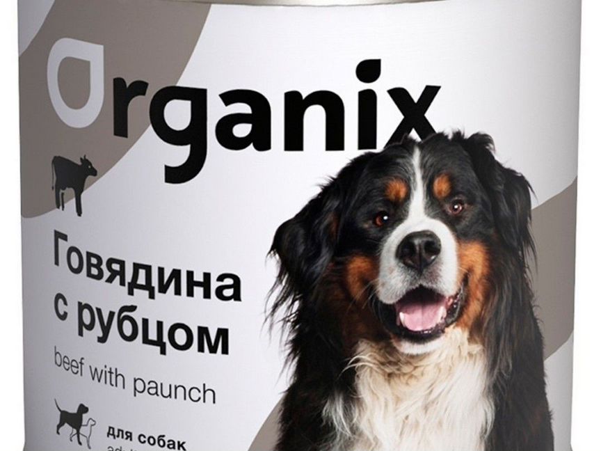 Корм для собак