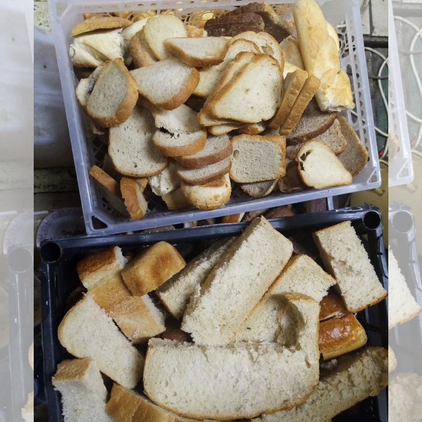 Сухари для животных