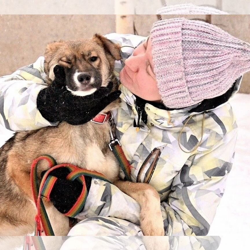 Милаша. Милая и ручная. Ищет добрый дом. Добрая
