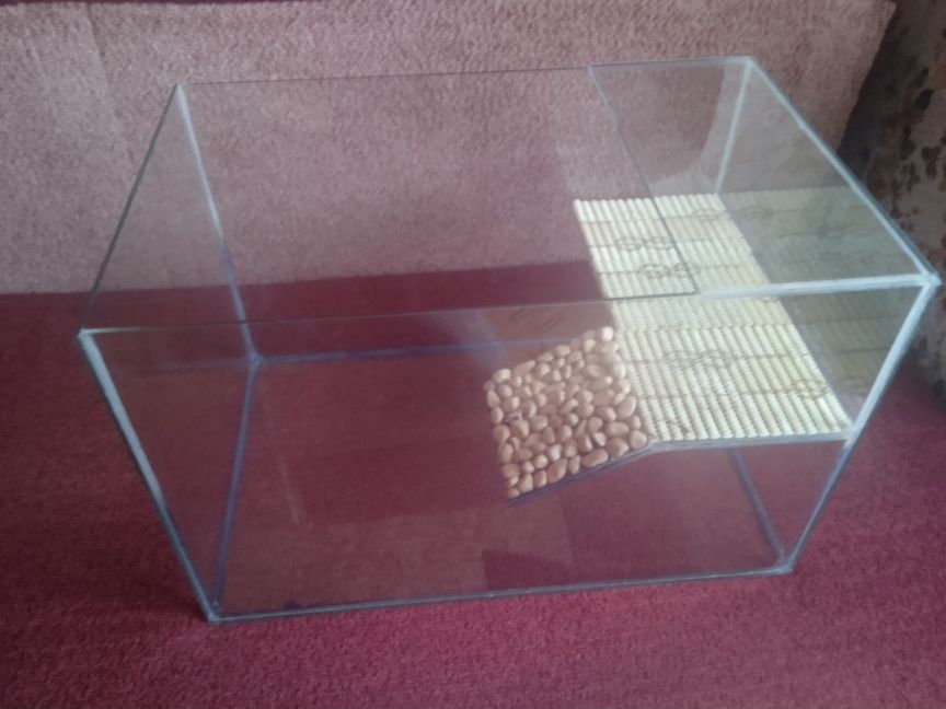 Аквариум черепашник