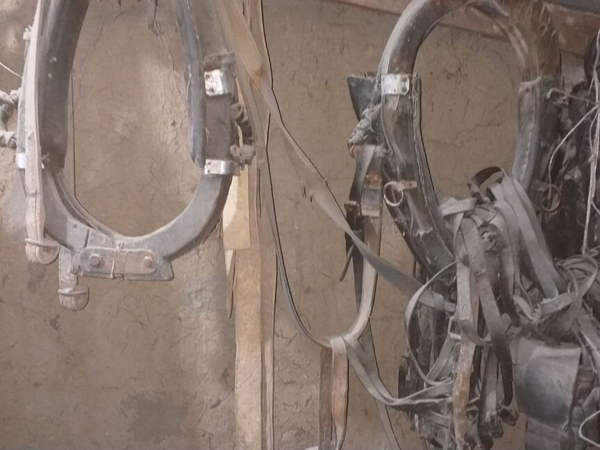 Конная сбруя