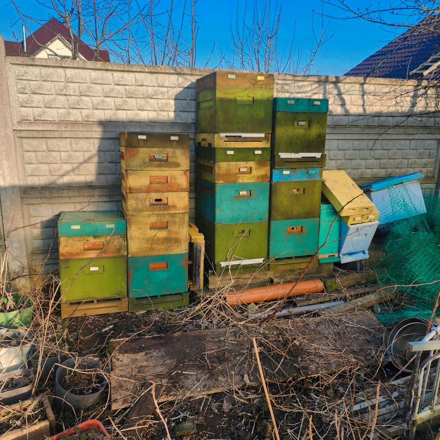 Улья ППУ нижегородец улей