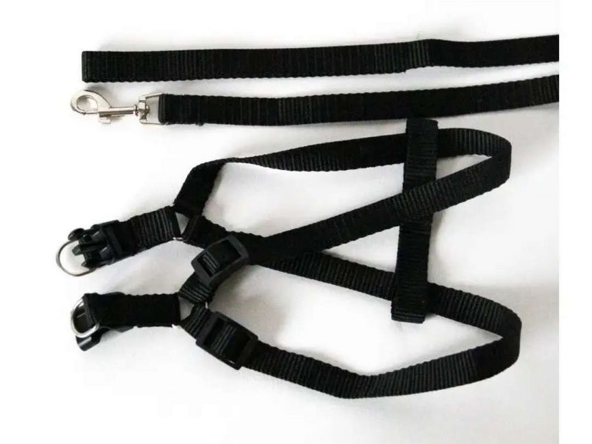 Шлейка с поводком для кошек, собак