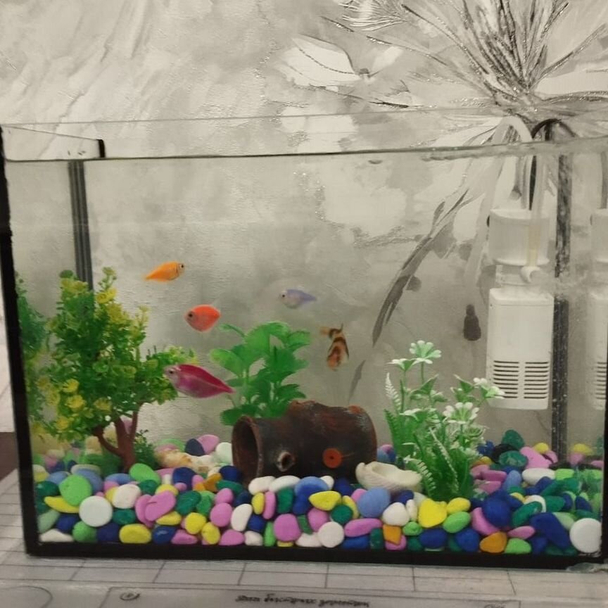 Аквариум комплект