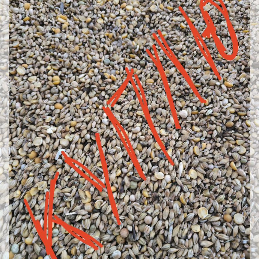 Ячмень, пшеница, горох, соя, отходы, чичивица