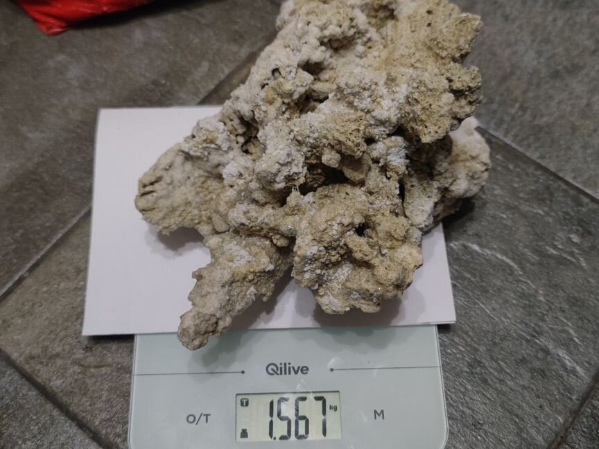 Сухой рифовый камень