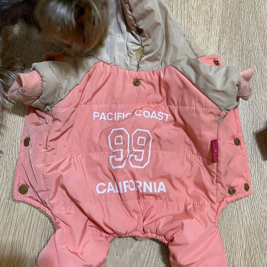 Комбинезон для собак мелких пород