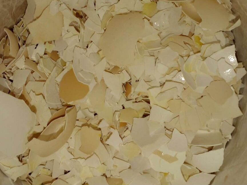 На корм курам скорлупа/фрукты/овощи