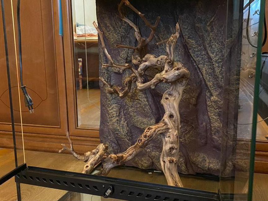 Террариум exo terra 45x45x60