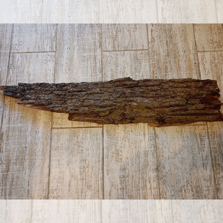 Декор для террариума (кора)