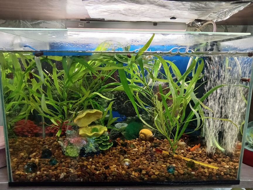 Аквариум 22литра