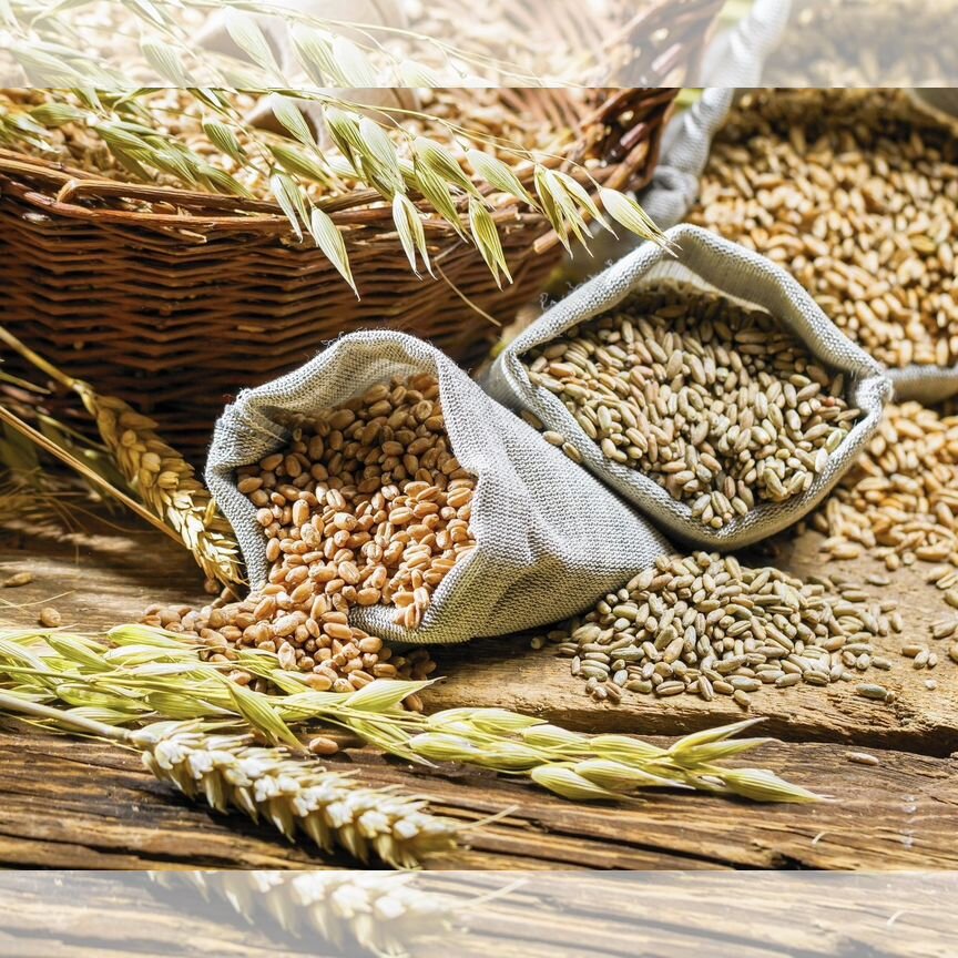 Продажа зерновых культур