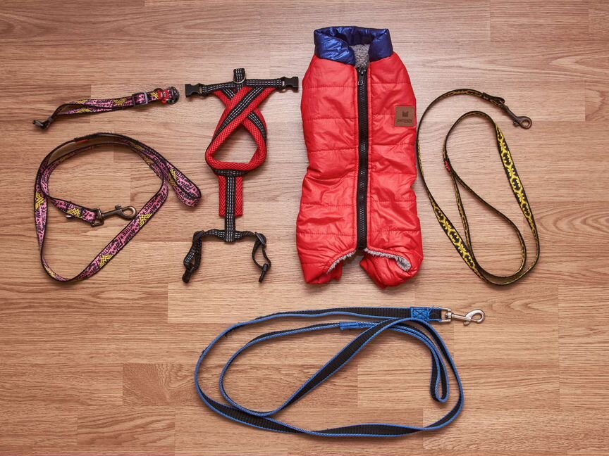 Амуниция для собак(комбинезон, поводки)