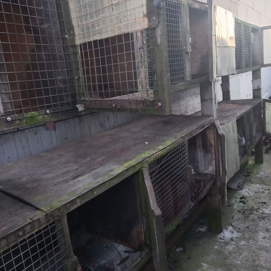 Клетка для кролика бесплатно