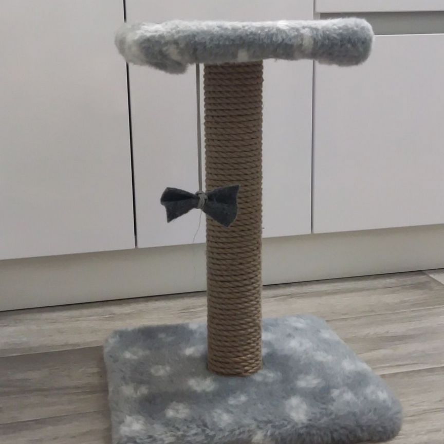 Когтеточка