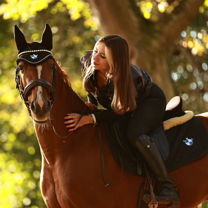 Вальтрап для лошади