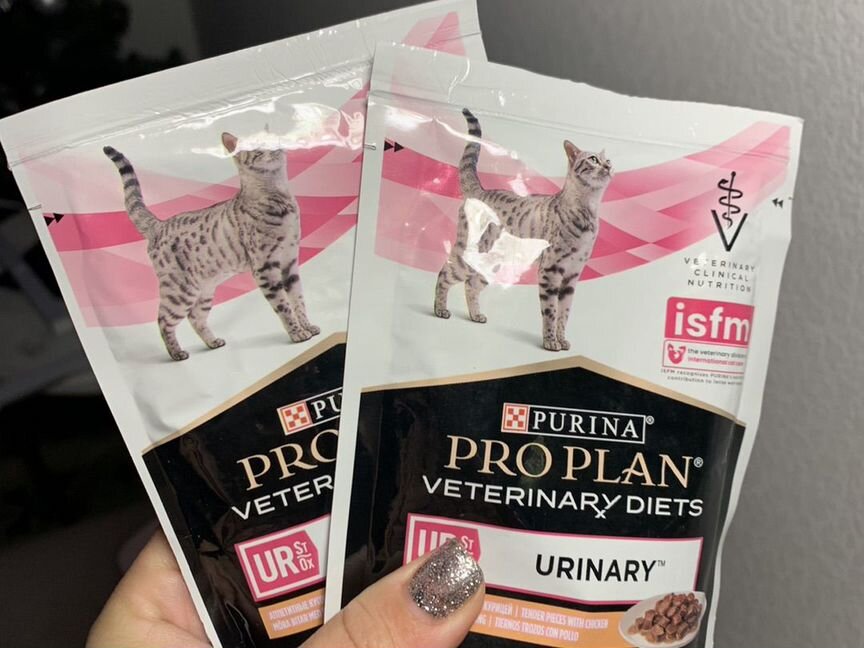 Влажный корм для кошек pro plan urinary