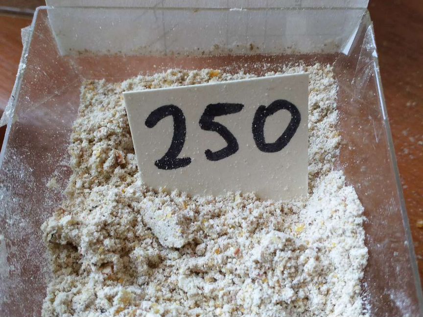 Мучка кукурузная