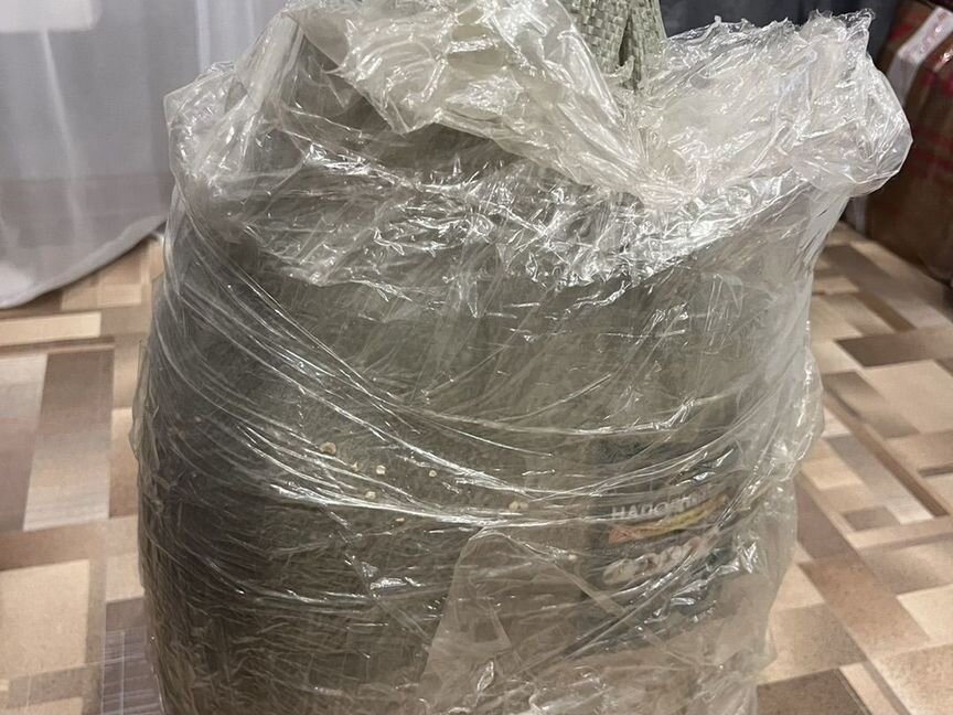 Кукурузный наполнитель 20л