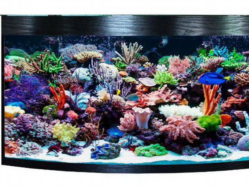 Террариумы для всех видов рептилий