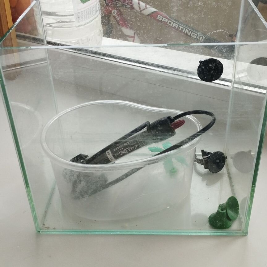 Аквариум маленький