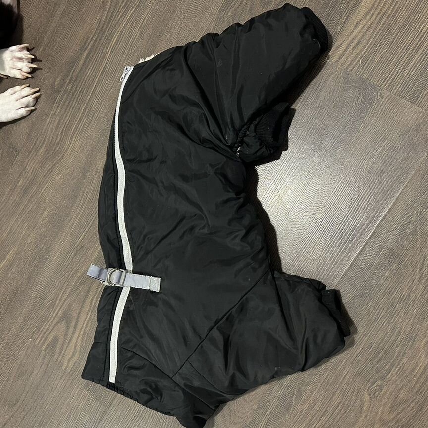 Вещи для собак