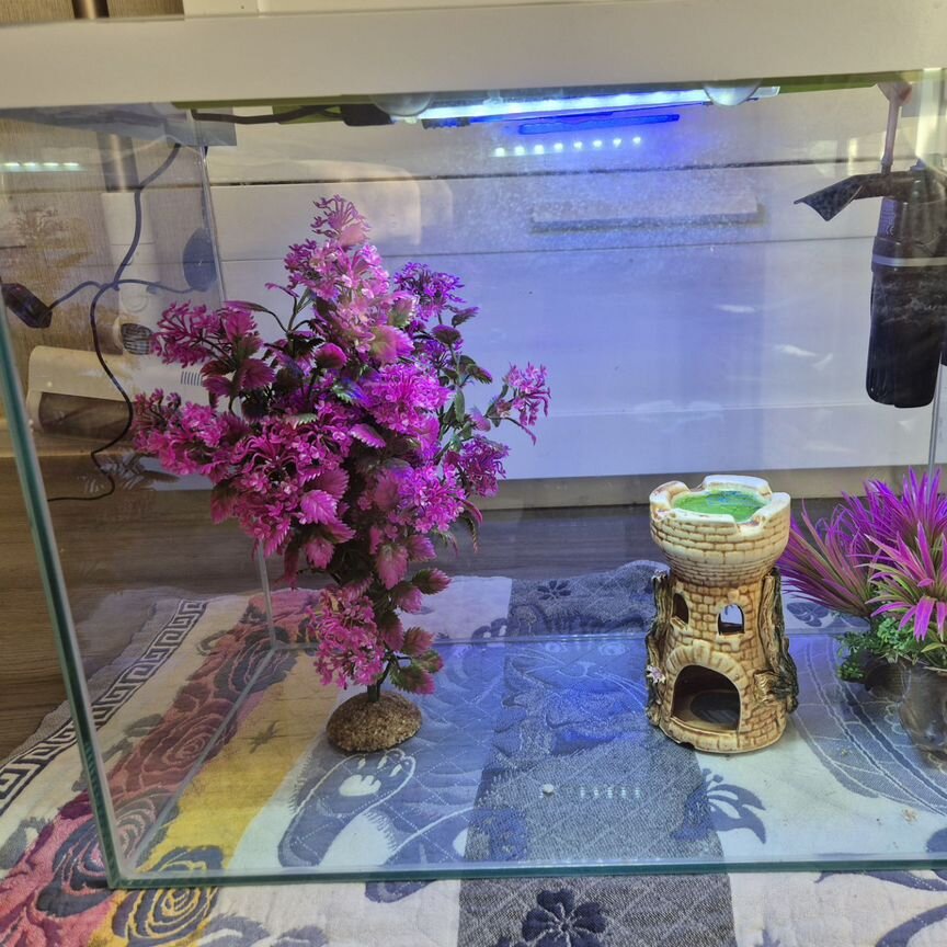 Аквариум 55 литров