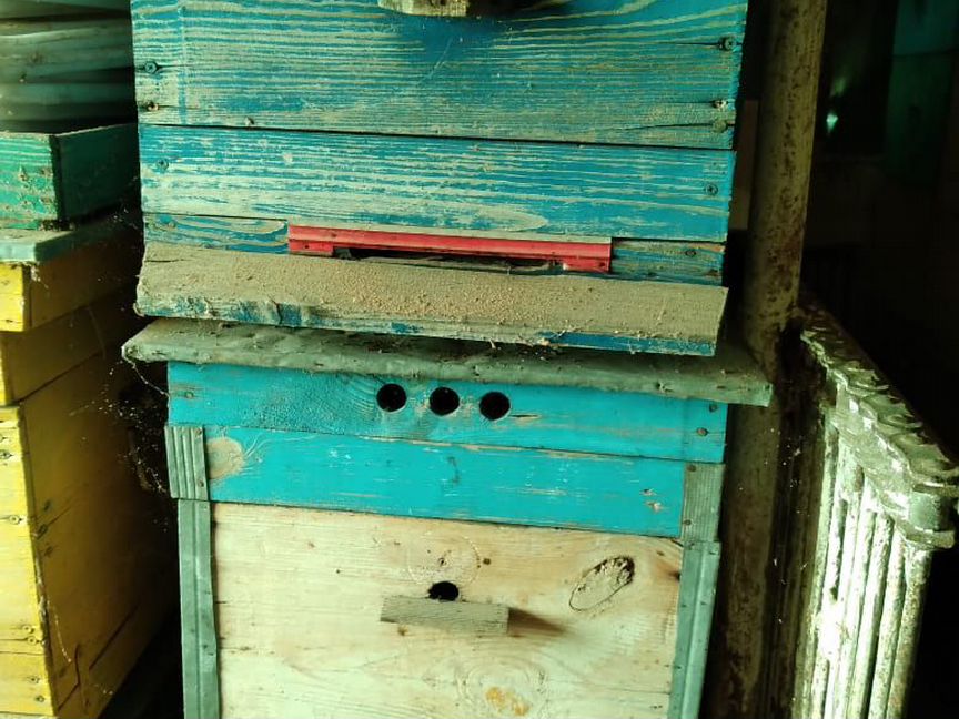 Продам дадановские ульи