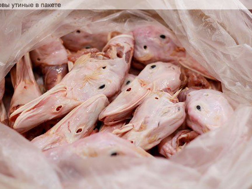 Утиные Головы