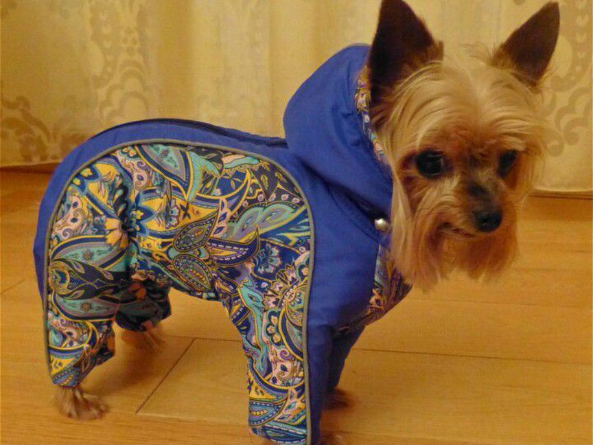 Комбинезон зимний lucky DOG