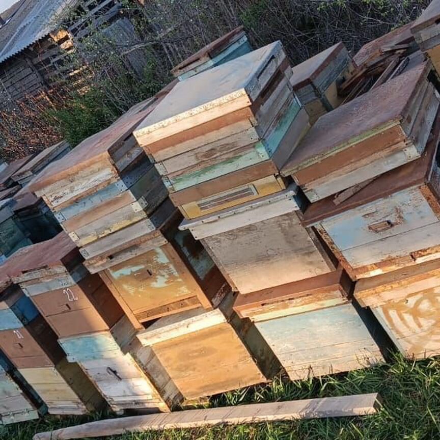 Улики для пчёл Дадан 12 рамок