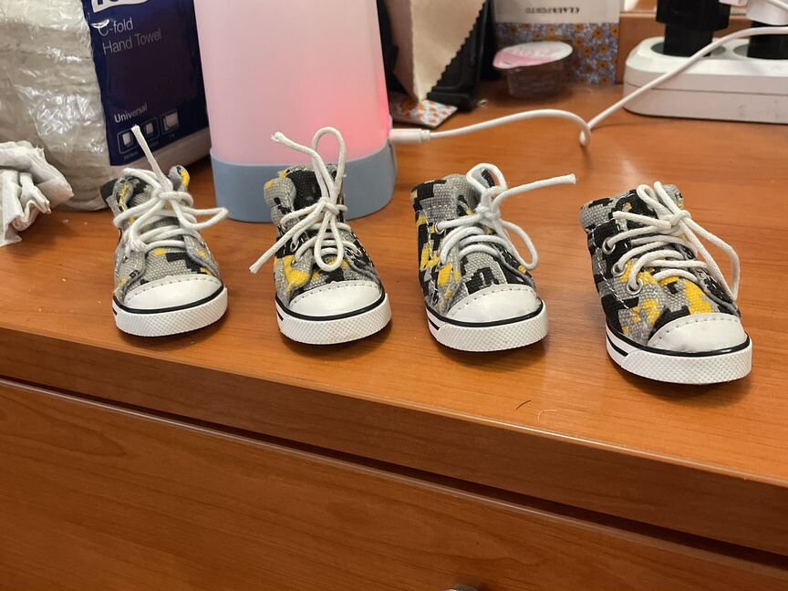 Обувь для маленьких собак