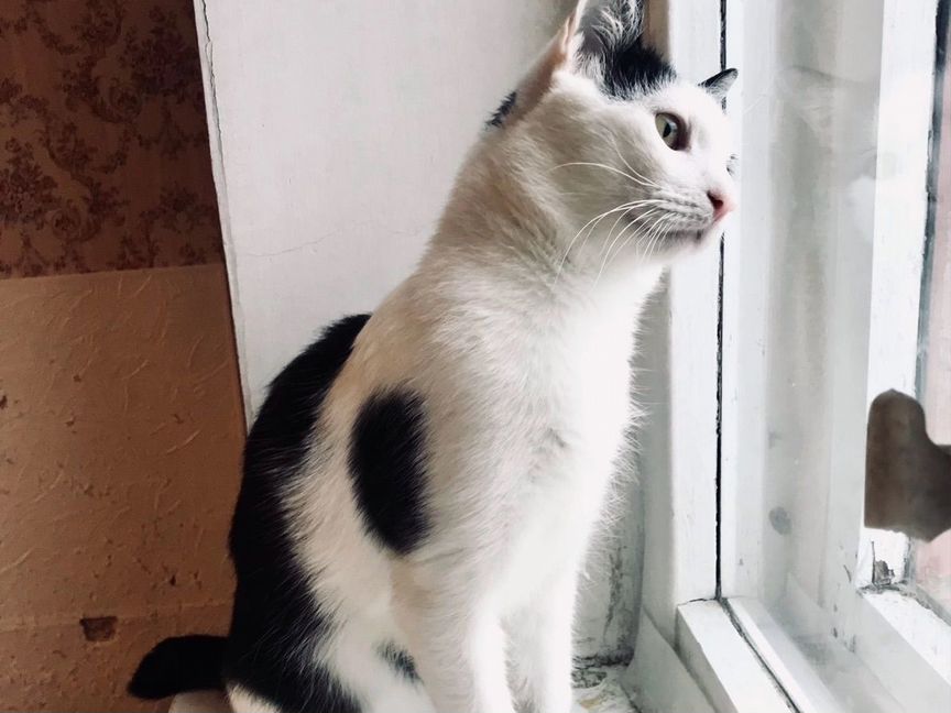 Он ждет, но не везет