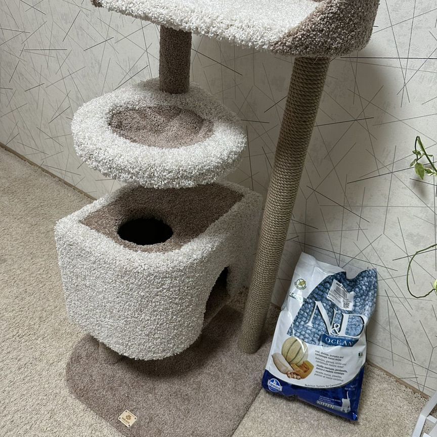 Когтеточка