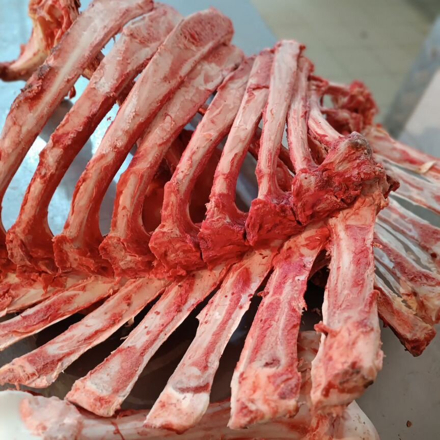 Косточки для собак новосибирск