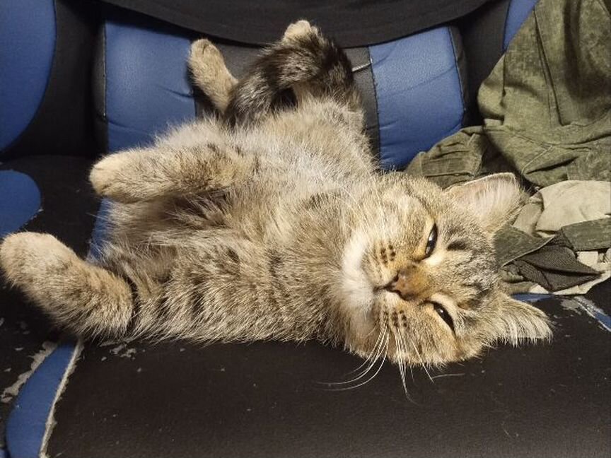 Очень добрая и ласковая люся