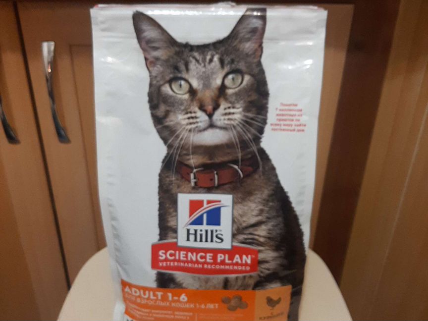 Сухой корм для кошек
