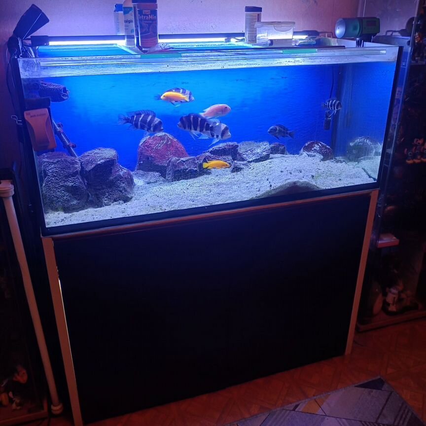 Аквариум