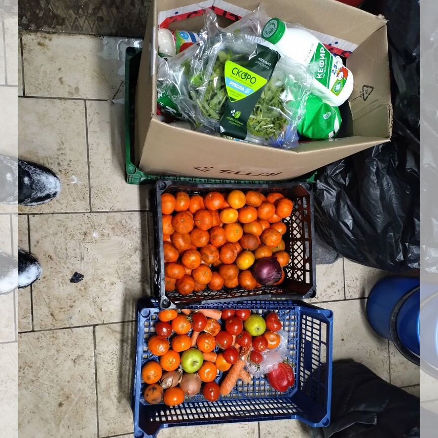 Продукция для животных