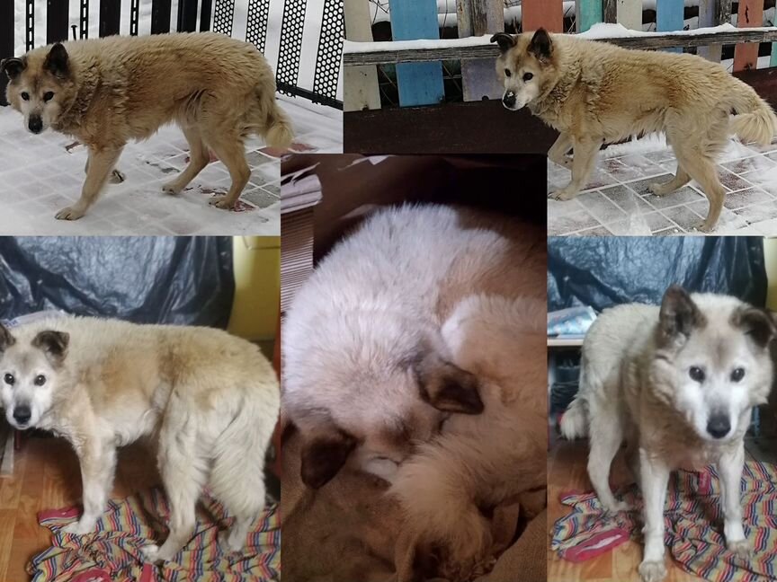 Поверить людям