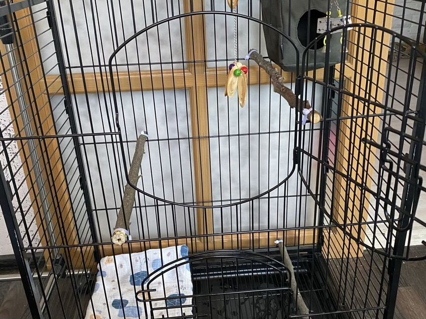 Клетка для шиншиллы