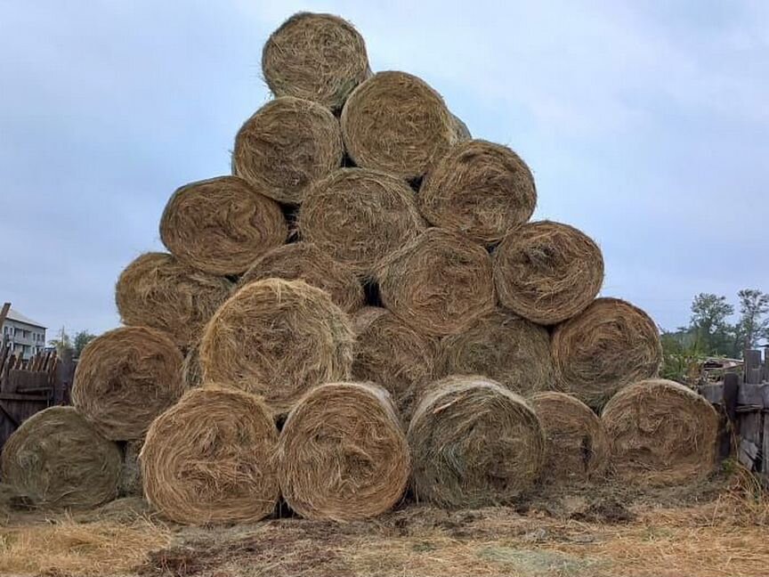 Сено в рулонах