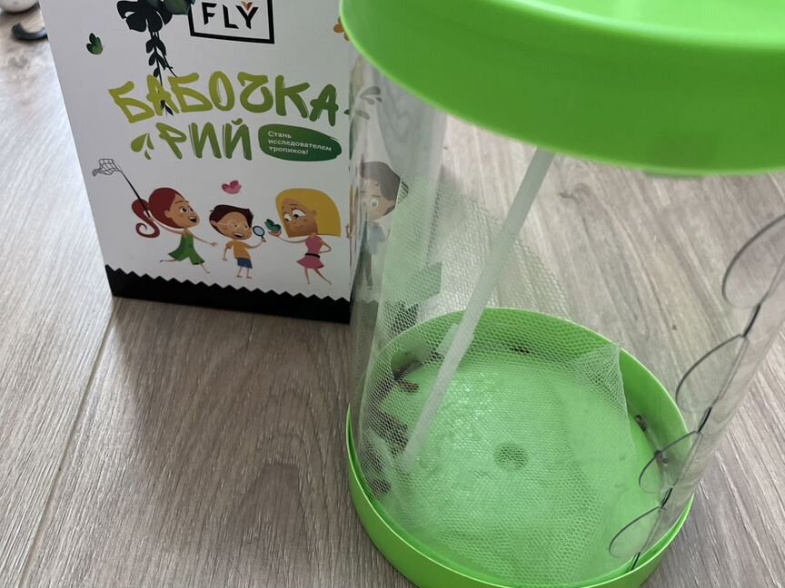 Ферма бабочканий fly fly