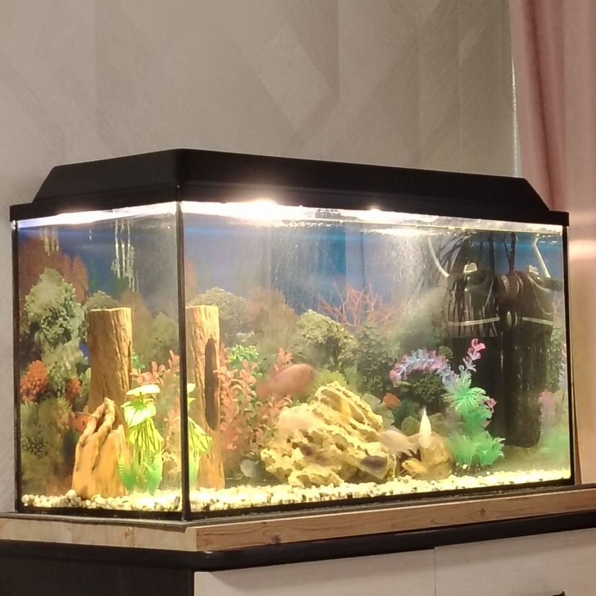 Аквариум 100 литров