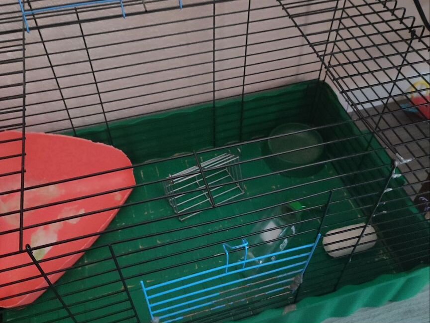Клетка для морских свинок, шиншил, кроликов