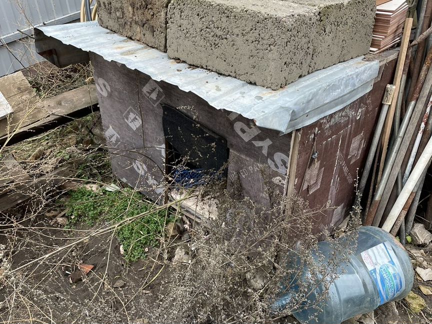 Собачья конура