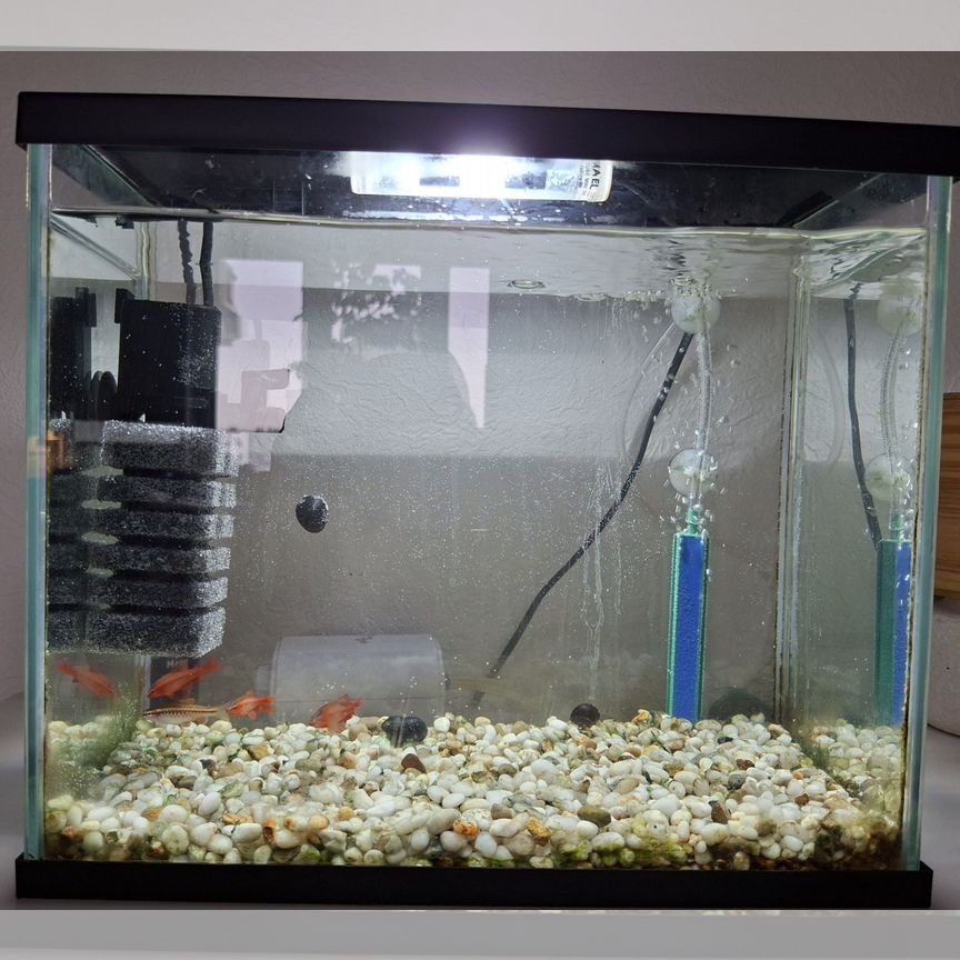 Аквариум 20 литров