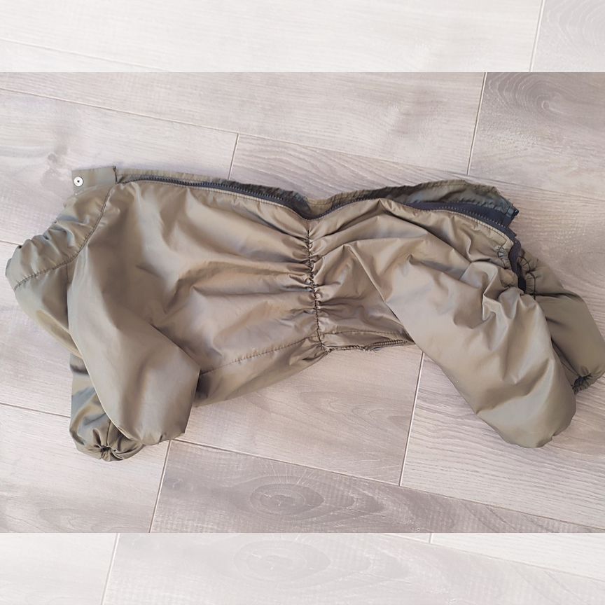 Одежда для средних собак комбинезон Гамма