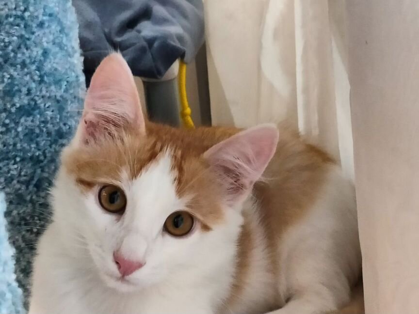 Марсель 2,5 мес