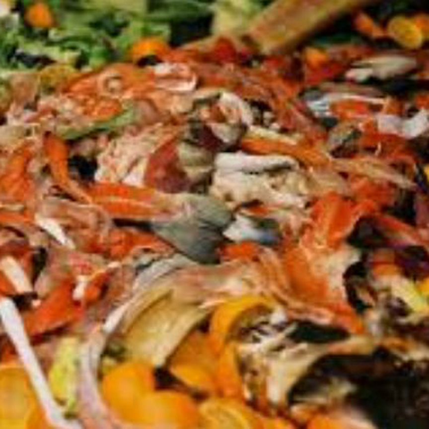 Пищевые отходы для животных